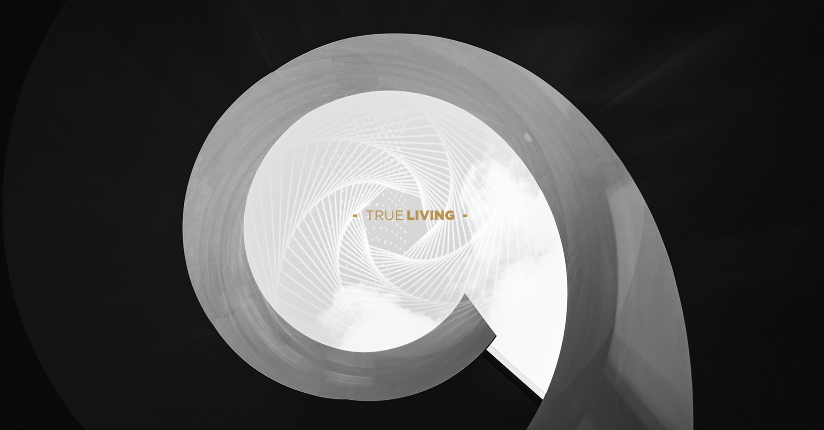 شركة الطريقة المعينة | The Certain Way